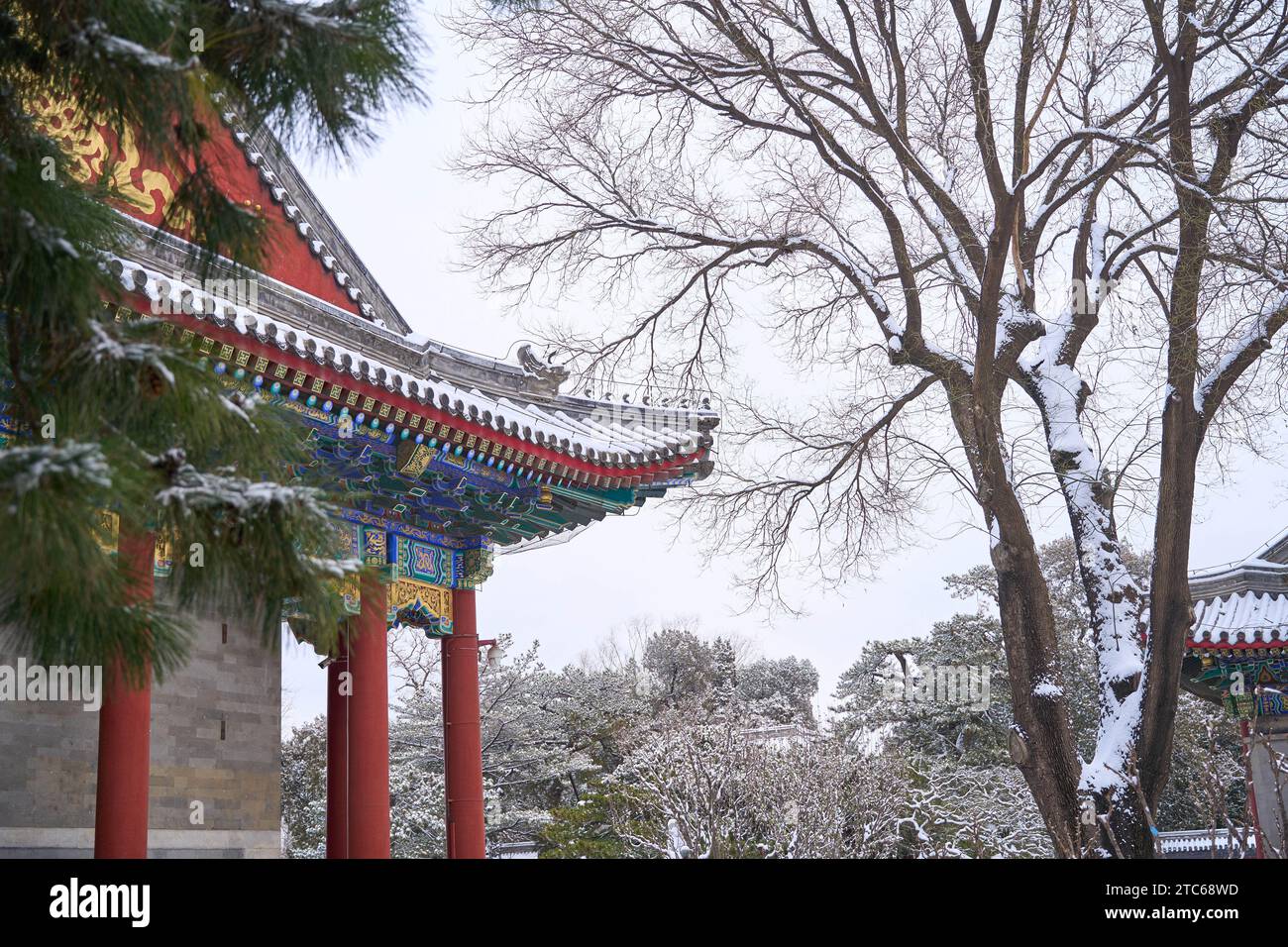 Beijing, Beijing, China. 11th Dec, 2023. On December 11, 2023, the ...