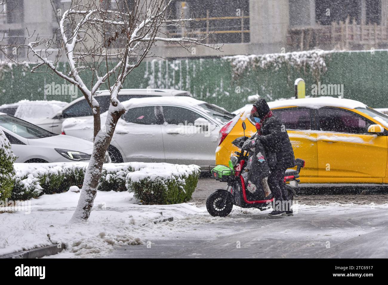 Qingzhou, Qingzhou, China. 11th Dec, 2023. On December 11, 2023 ...