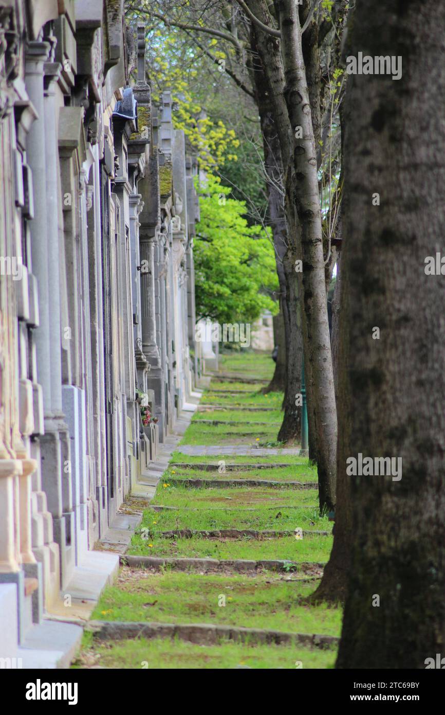 A cemetery scene with gravestones lined up in a row under a backdrop of ...