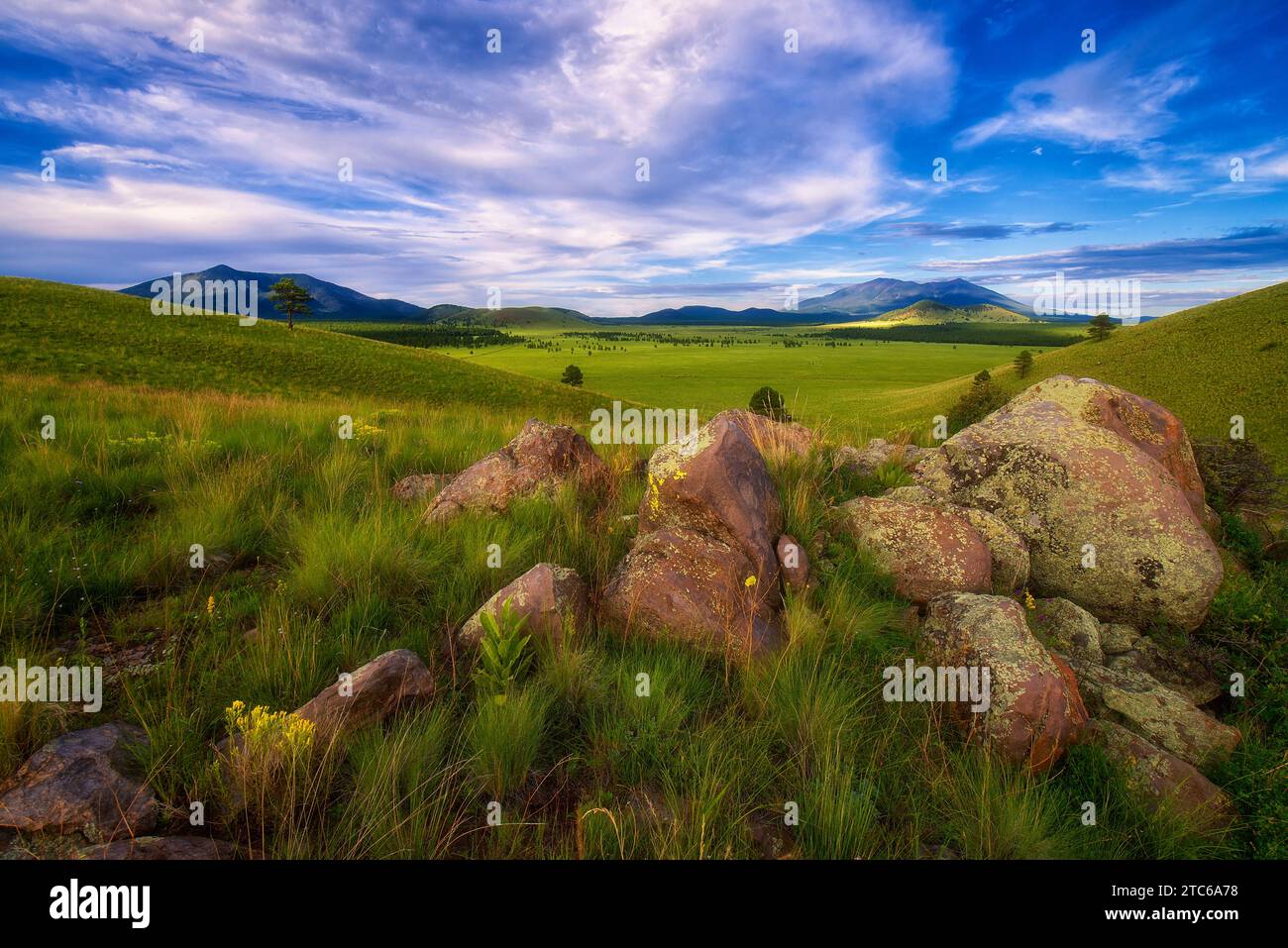 A scenic view of a green field with hills in the distance. Government ...