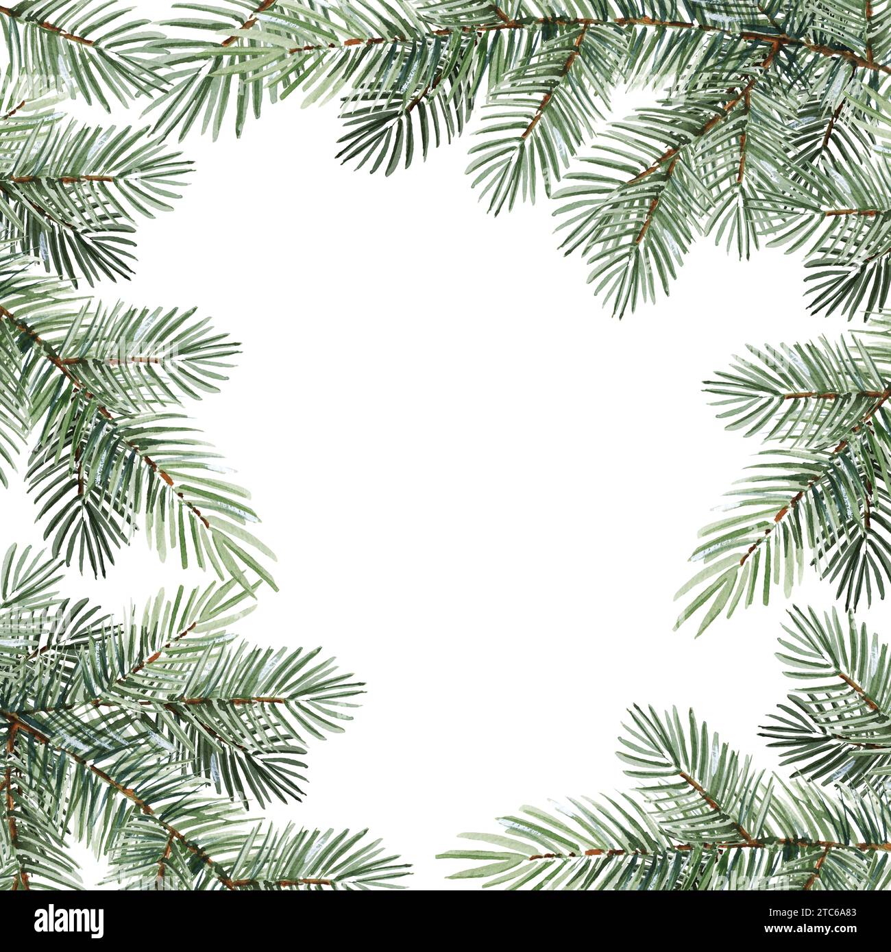 watercolor square frame with coniferous branches, Christmas tree, hand ...