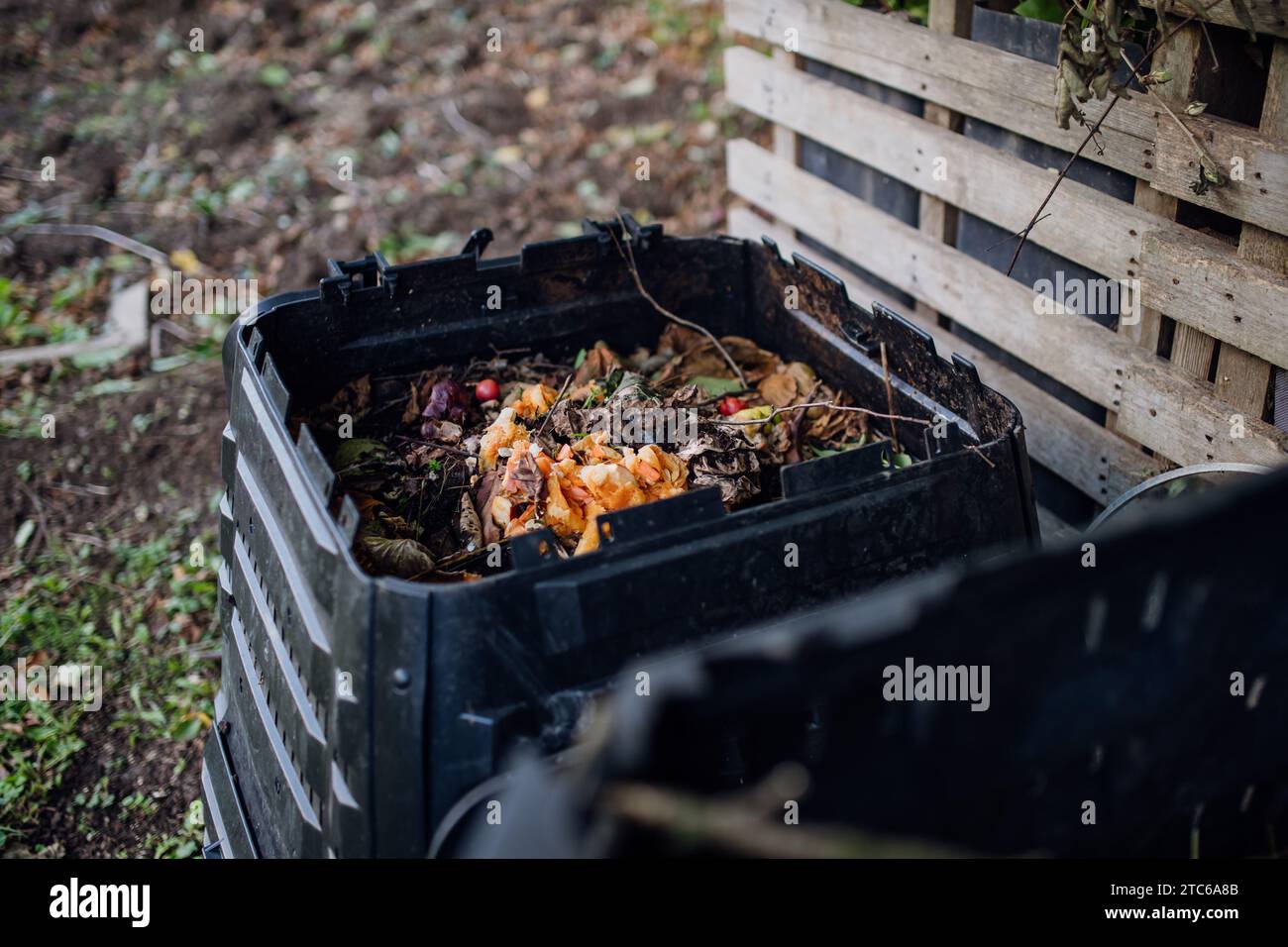 Decomposing materials hi-res stock photography and images - Alamy