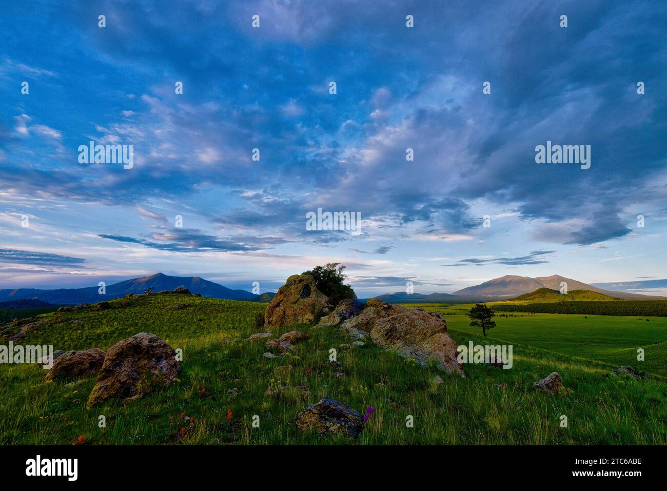 A scenic view of a green rocky field with hills in the distance ...