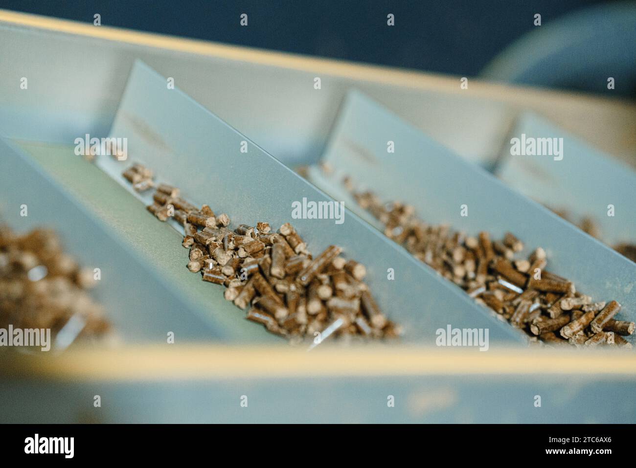 Wood pellet production machine in factory, pellet manufacturing in wood ...