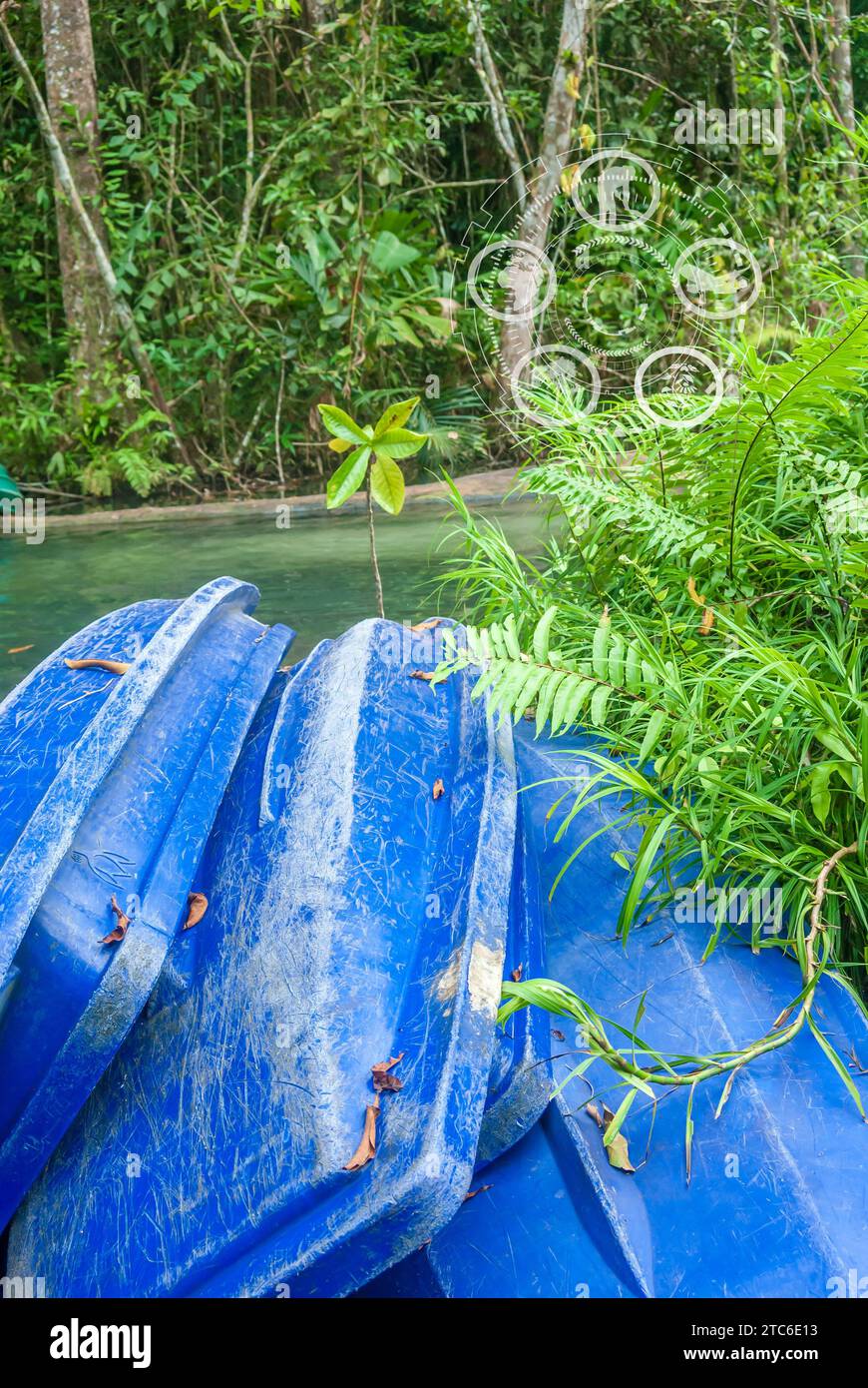Green tourism, Sustainable tourism, Eco tourism and Ecosystem and ...
