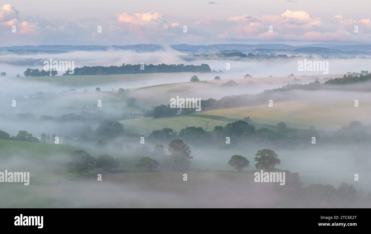 Aerial view of mist shrouded countryside at dawn, Crediton, Devon ...