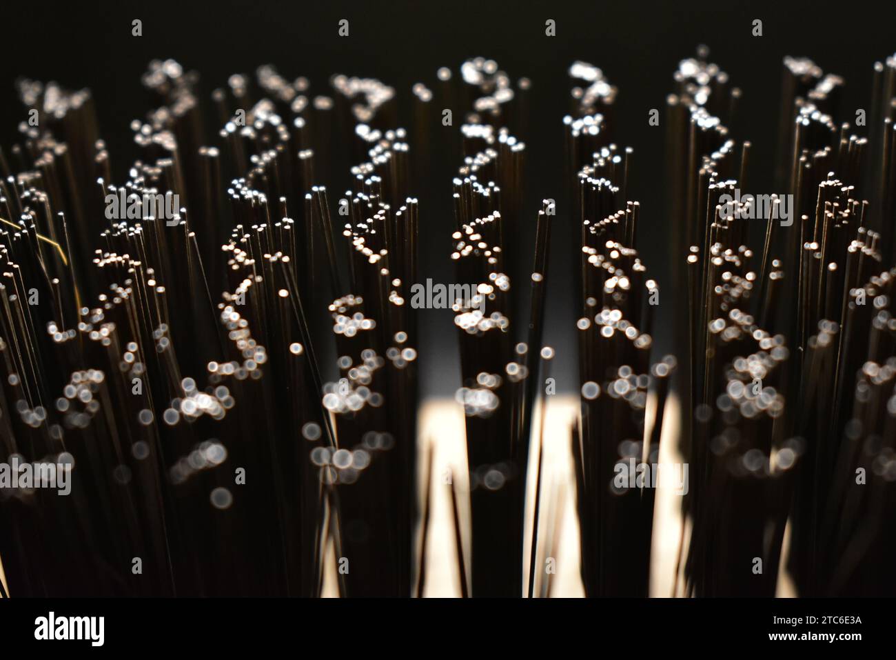 Highlighting subtle details hi-res stock photography and images - Alamy