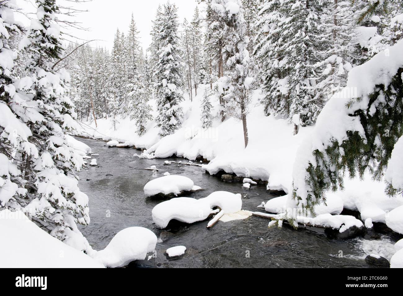 A stream flows through a winter scene in Yellowstone National Park ...