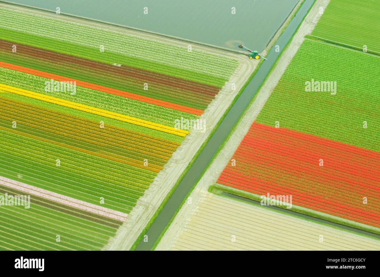 Tulip fields holland aerial hi-res stock photography and images - Alamy