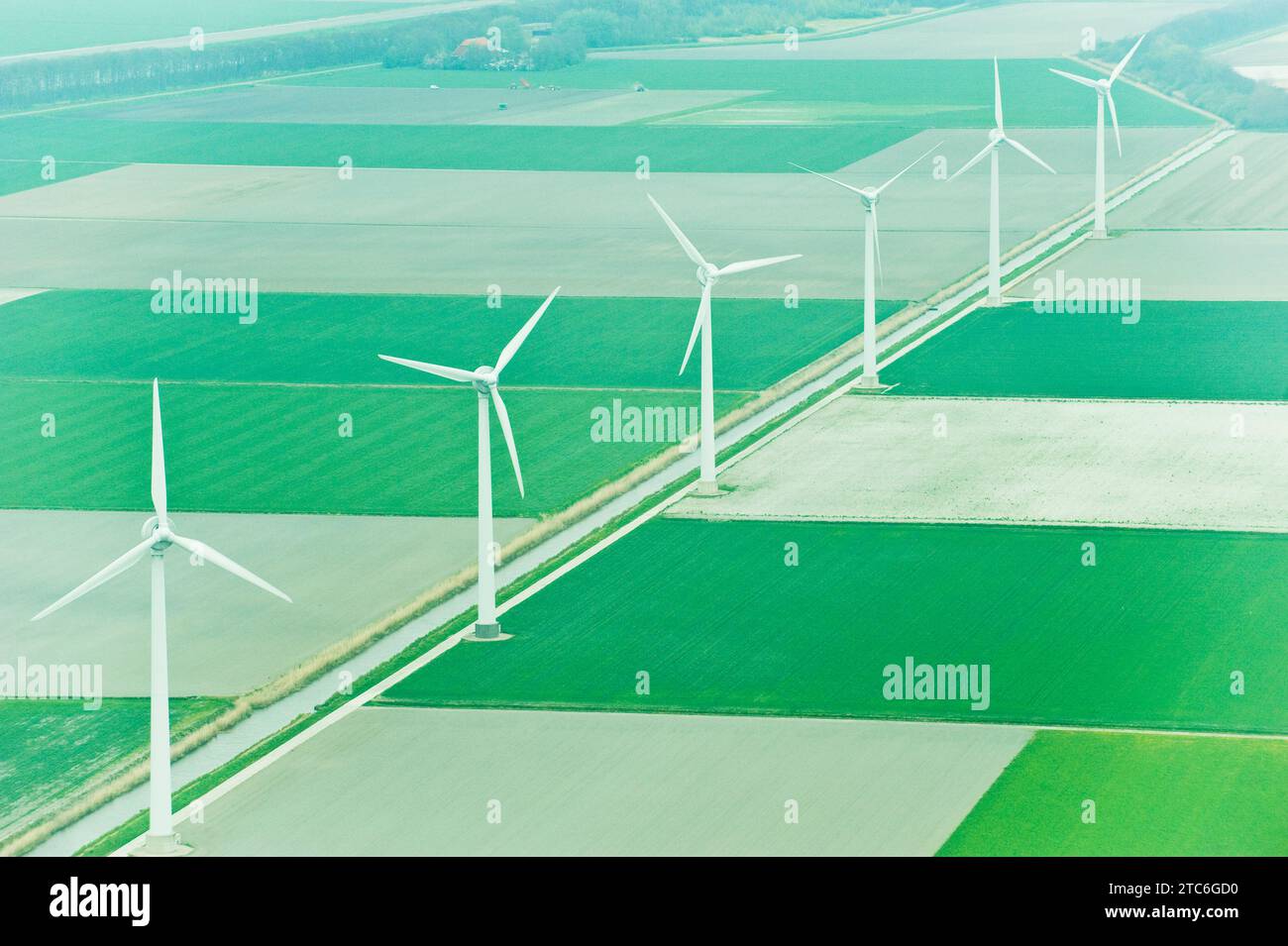 Looking down on tulips fields and wind turbines from an airplane ...