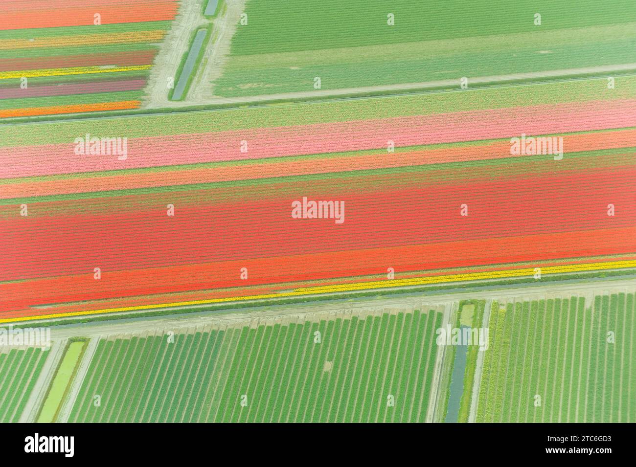 Tulip fields holland aerial hi-res stock photography and images - Alamy