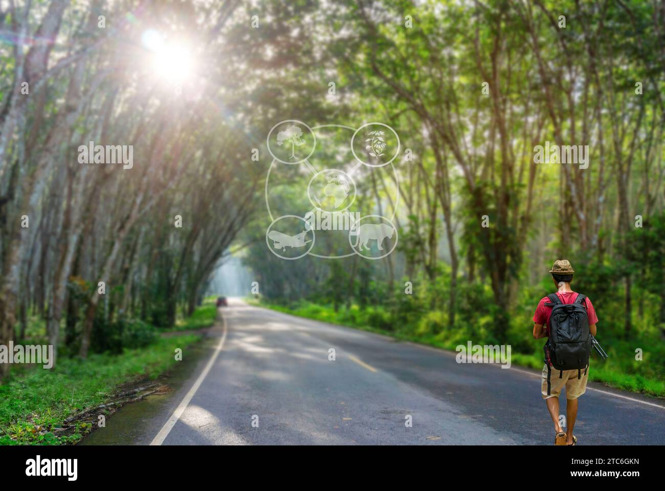 Green tourism, Sustainable tourism, Green tourism and Ecosystem and ...