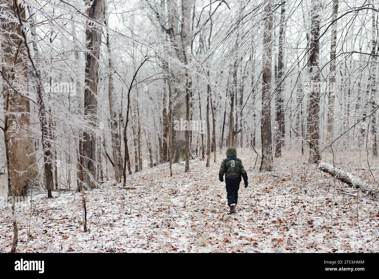 Child hiking trail woods trees path hi-res stock photography and images ...