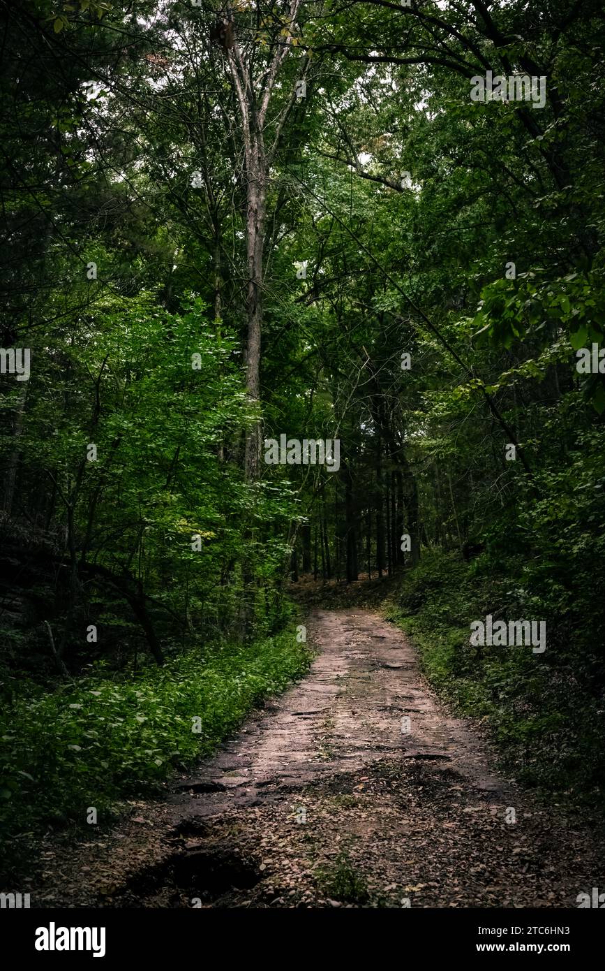 Adventures into the unknown hi-res stock photography and images - Alamy