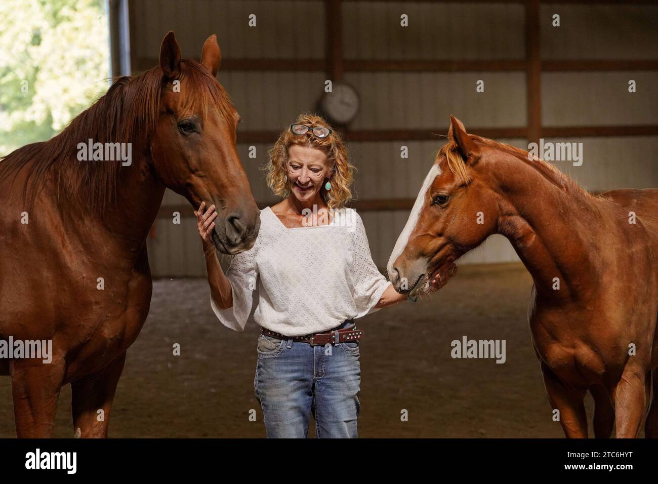 A female standing in between two horses Stock Photo - Alamy