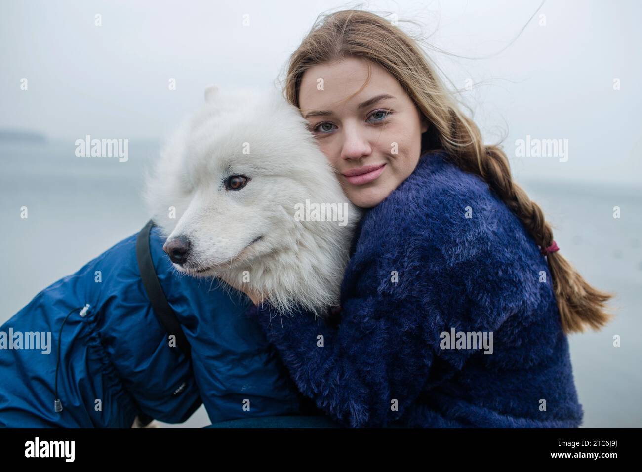 Female samoyed hi-res stock photography and images - Alamy