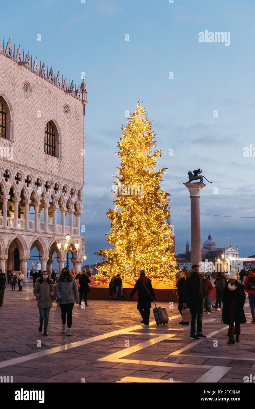 christmas tree in front of Doge Palace in Venice, Italy Stock Photo - Alamy