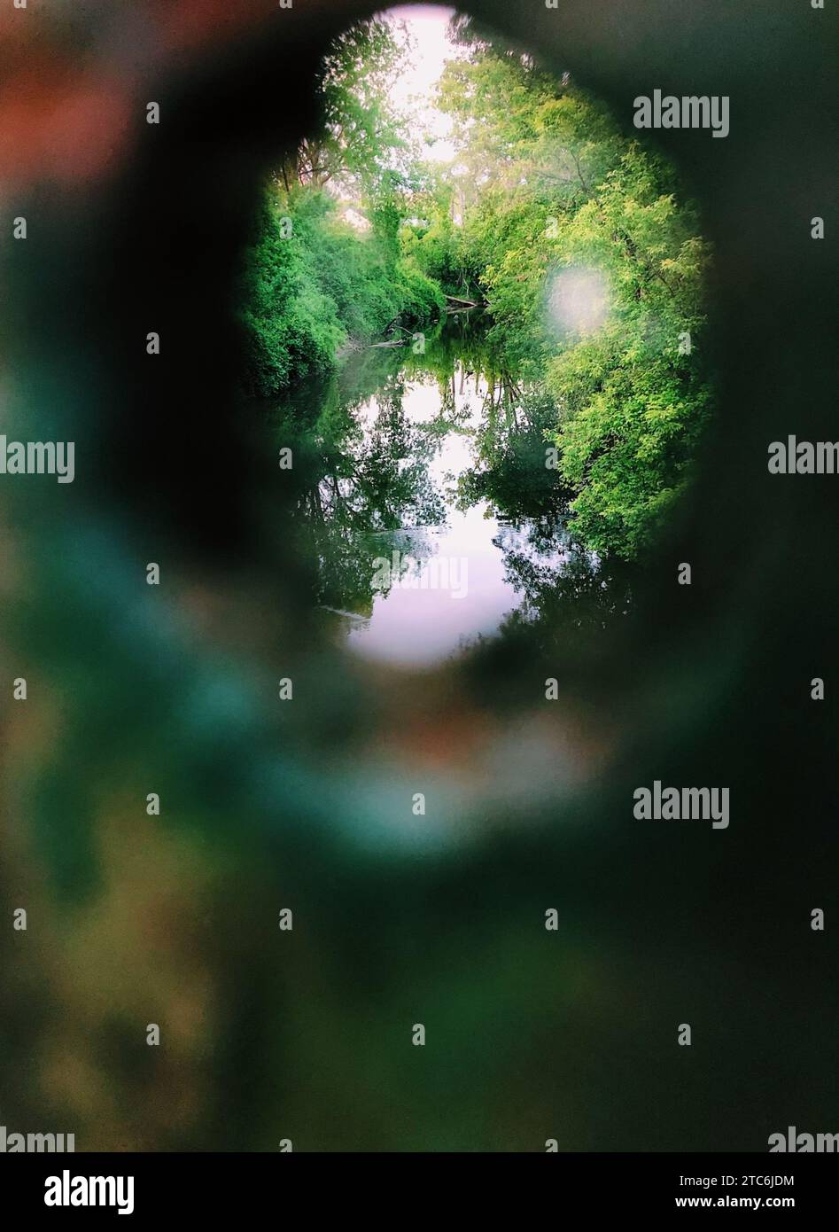 Green Luscious Streamside Hidden Forest Stock Photo - Alamy