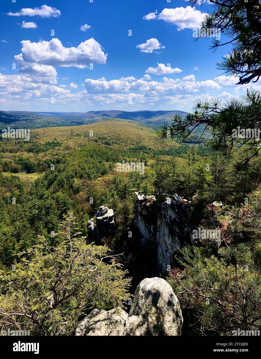 Green pine trees rolling hills hi-res stock photography and images - Alamy