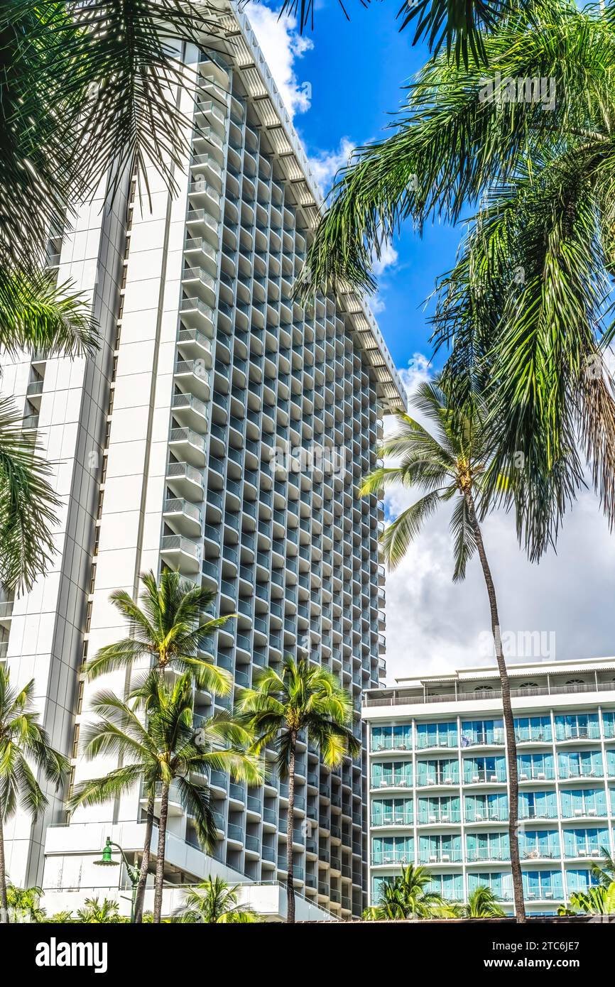 Colorful Hotels Buildings Palm Trees Waikiki Beach Honolulu Hawa Stock ...