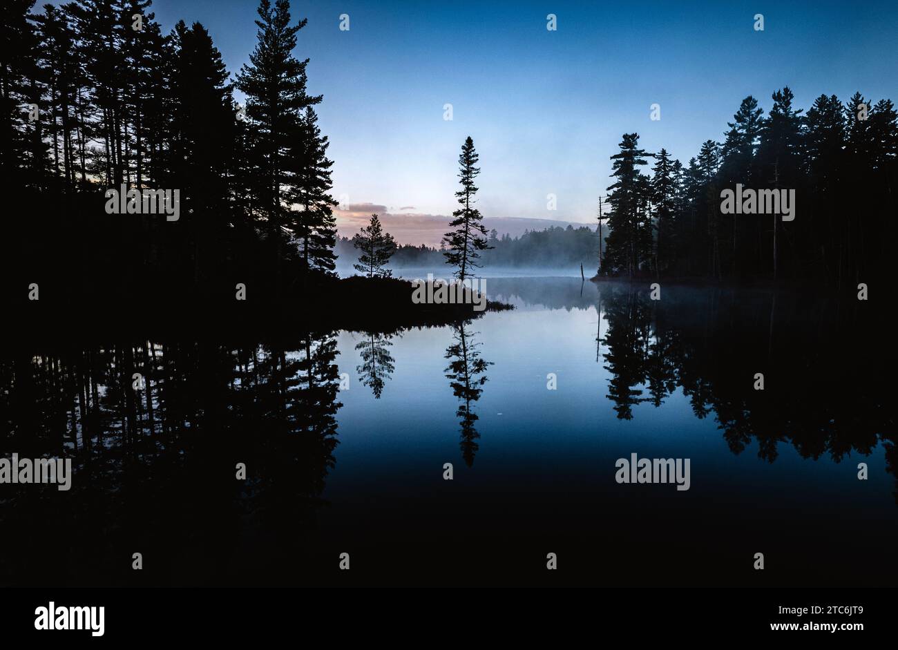 Pine trees reflected in peaceful waters of pond at blue hour, Maine ...
