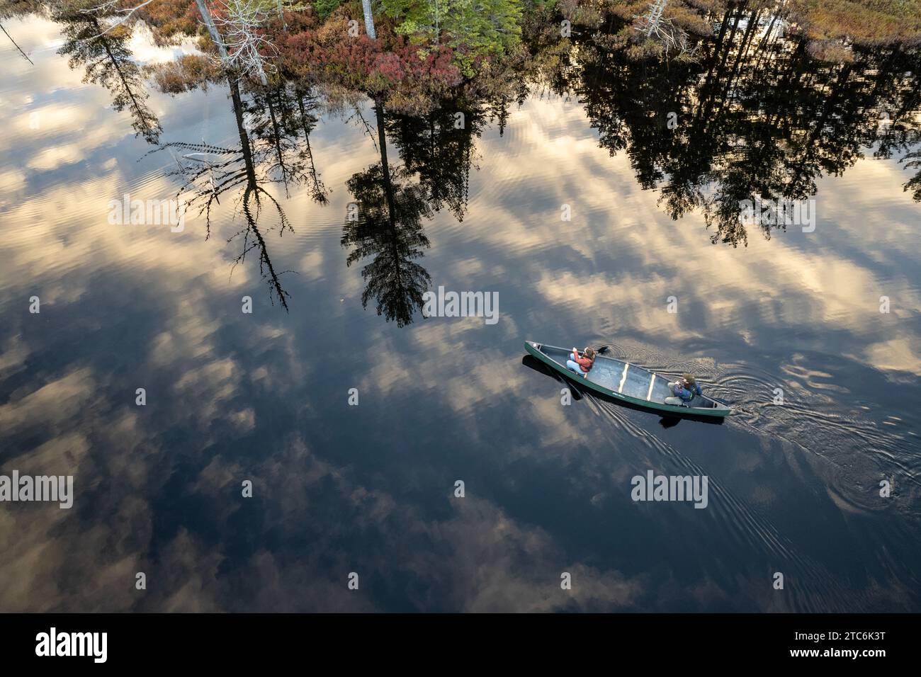 aerial view of couple navigating canoe across swamp in Maine woods ...