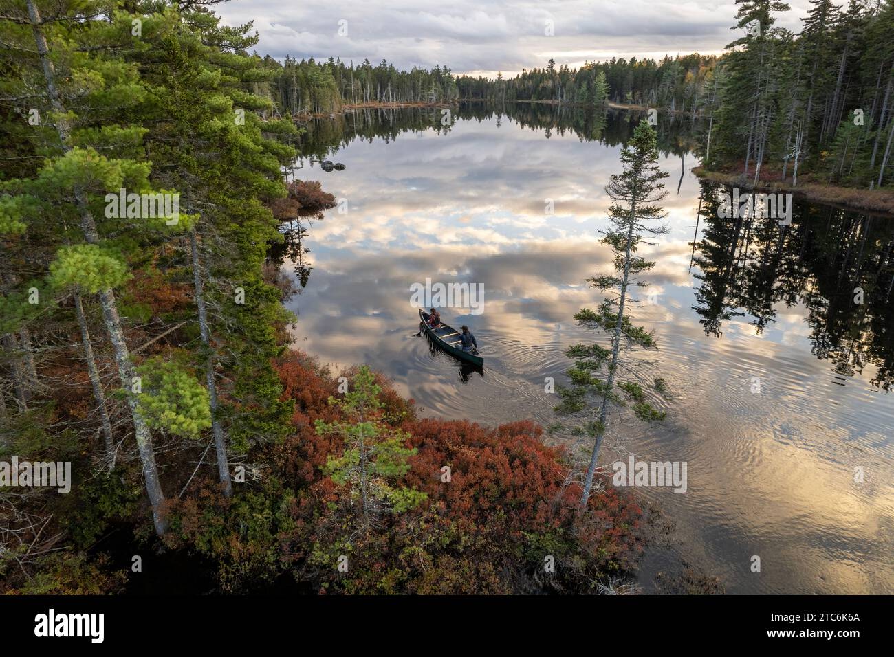 Top down view of couple paddling canoe on wooded lake in Maine Stock ...
