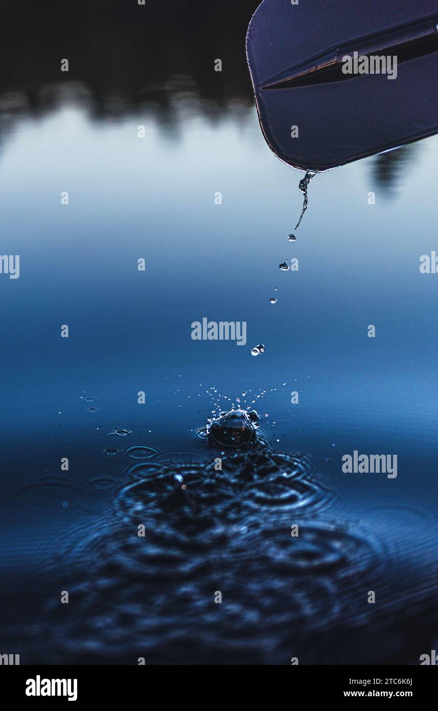 Close up paddle rowing pond hi-res stock photography and images - Alamy