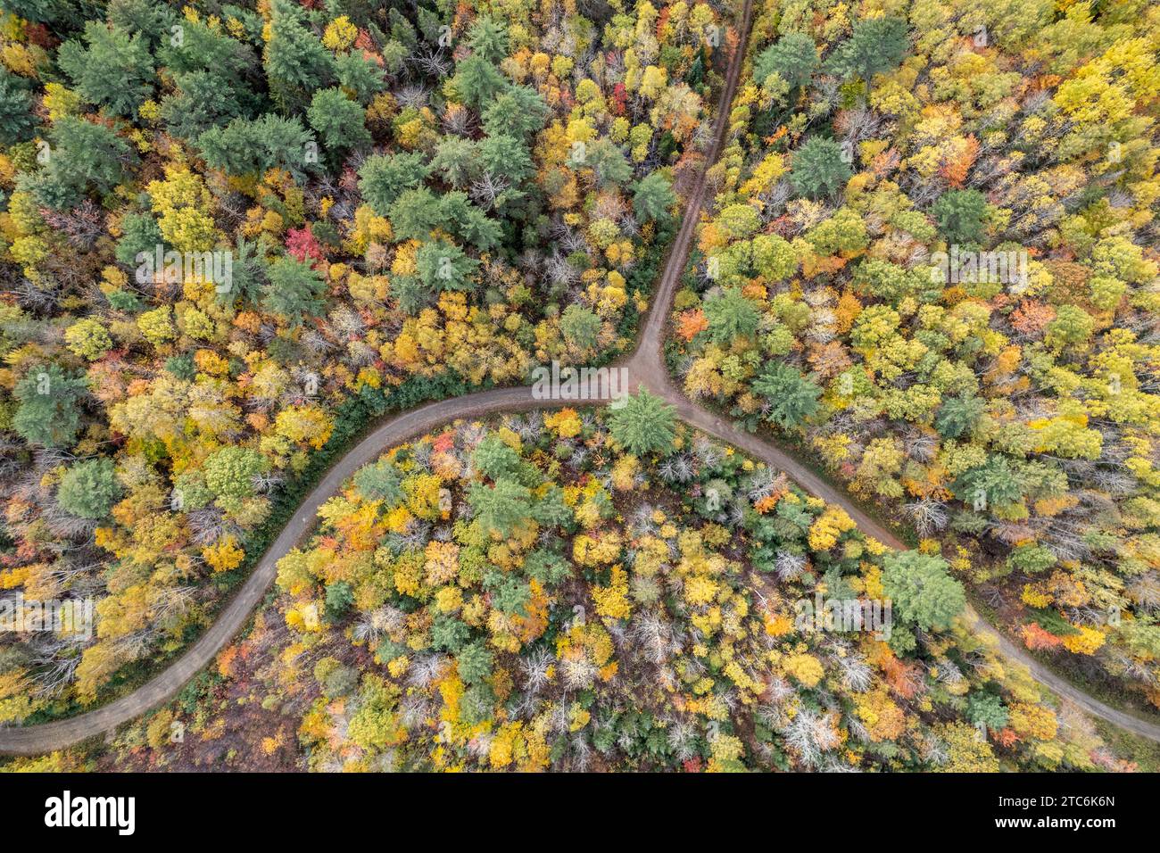 Aerial view of dirt roads intersecting deep in the Maine woods Stock ...