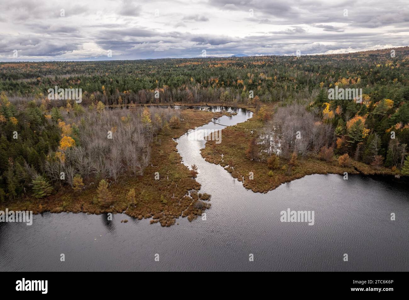 River runs through bog and swamp land before emptying into lake Stock ...
