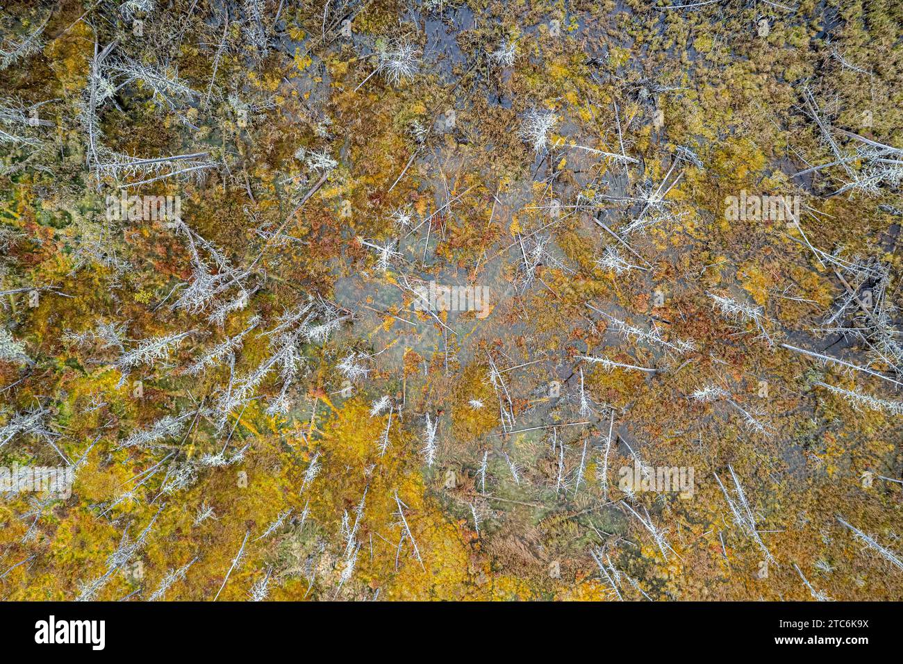 Baxter state park and aerial hi-res stock photography and images - Alamy