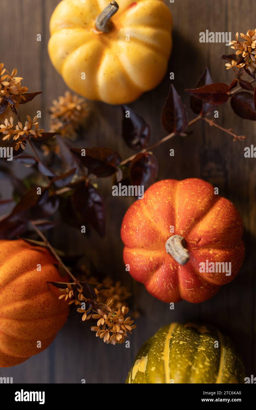 close-up of fall foliage and pumpkin display Stock Photo - Alamy