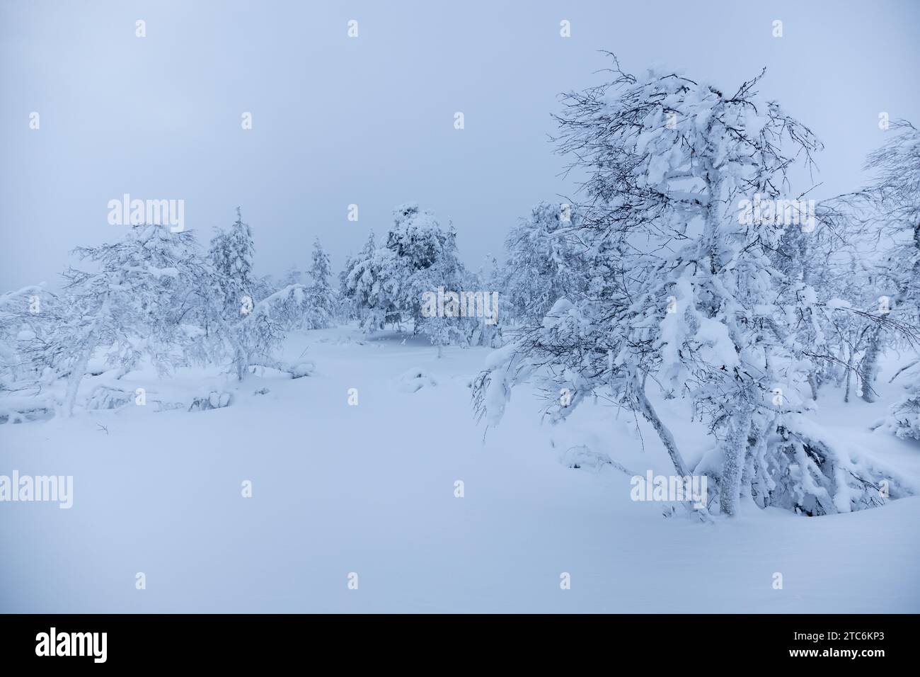A scenic view of Saariselka winter wonderland in Lapland, Finland Stock ...