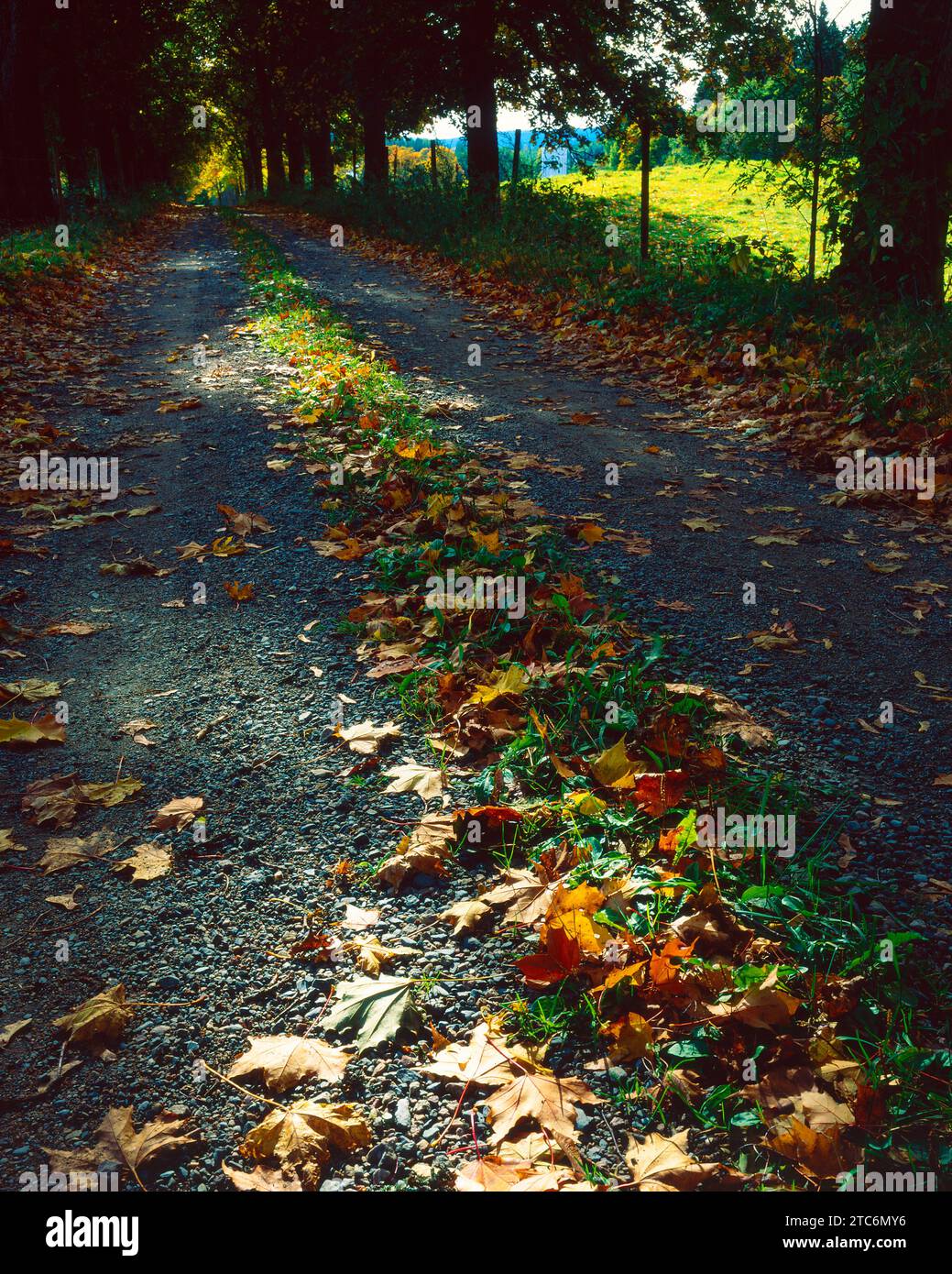 66564 hi-res stock photography and images - Alamy