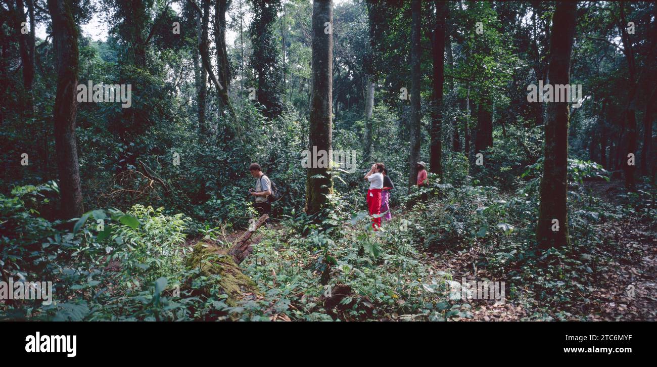 Nature excursion in Kenya Stock Photo - Alamy