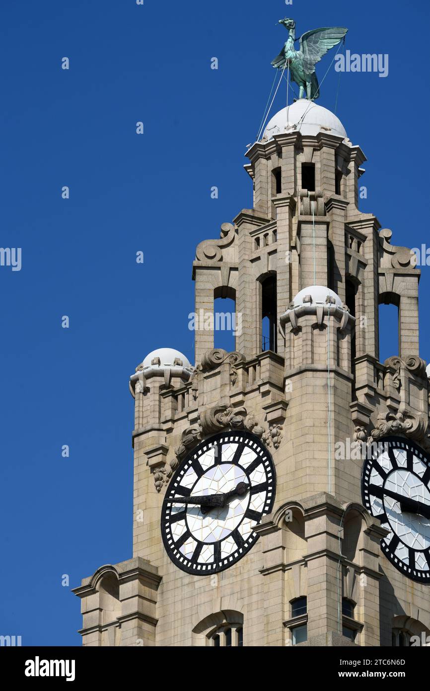 Corner Clock Tower & Liver Bird of the Royal Liver Building (1908-1911 ...