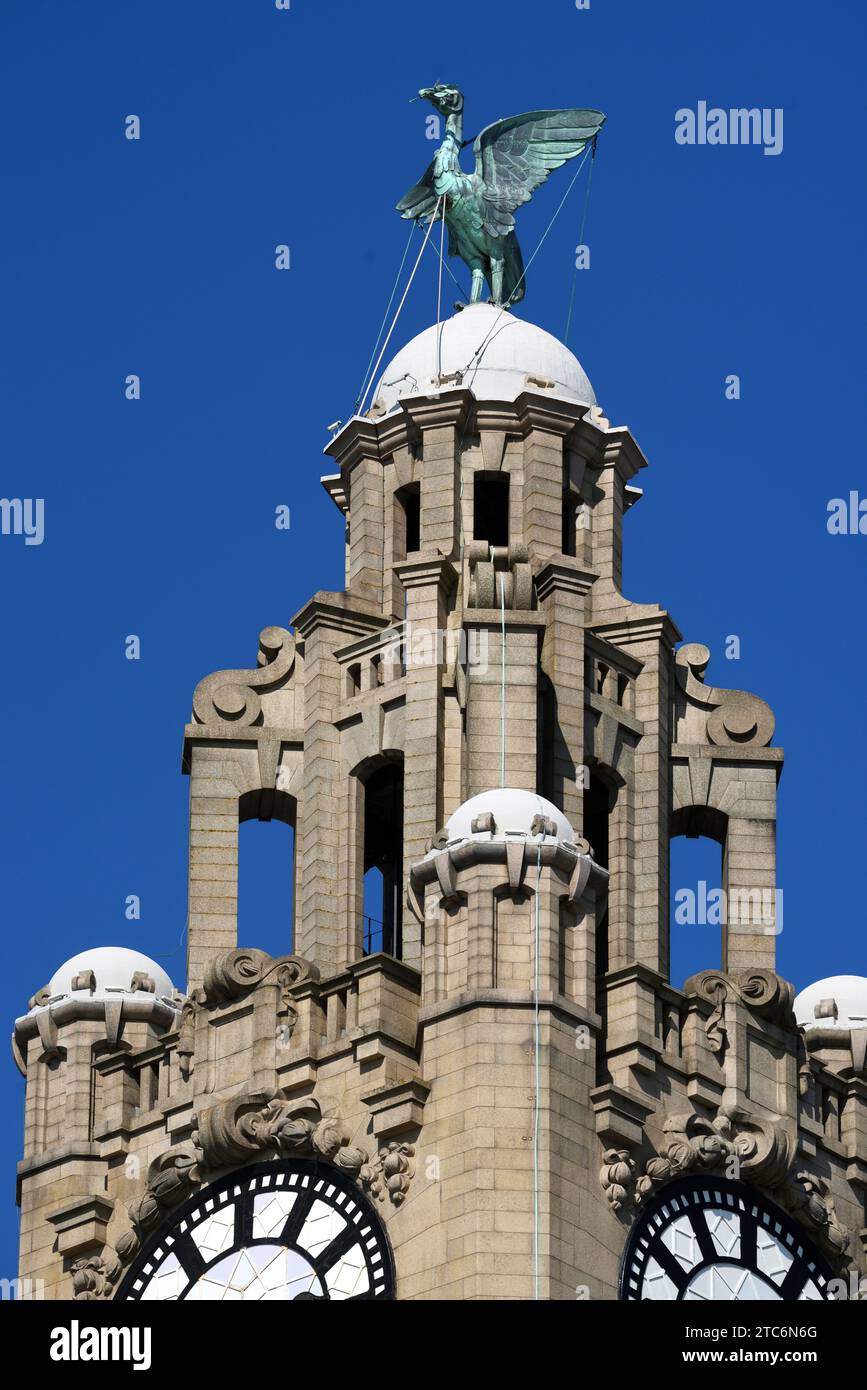Corner Clock Tower & Liver Bird of the Royal Liver Building (1908-1911 ...