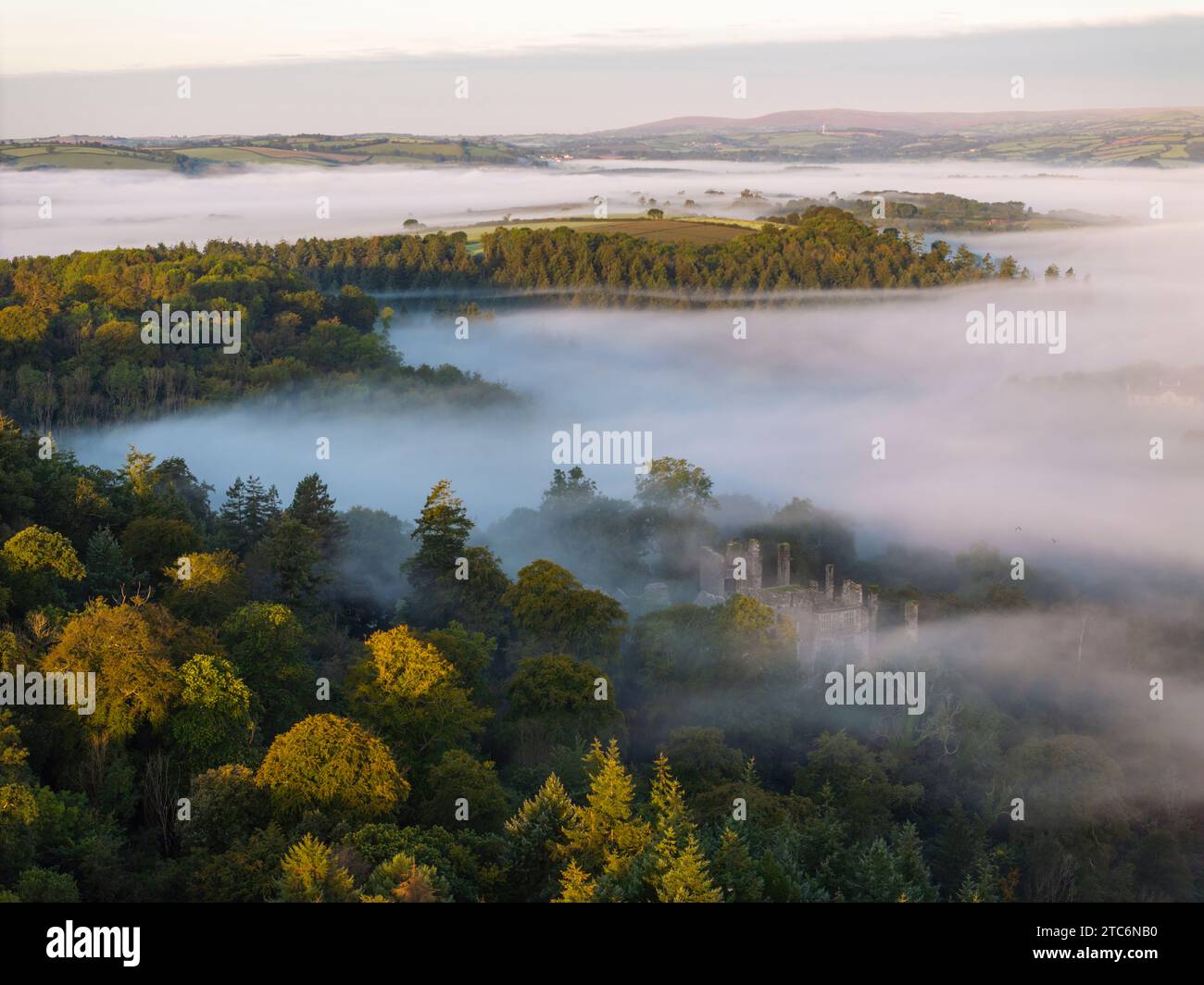 Autumn mists swirl around the ruins of Berry Pomeroy Castle in Devon ...