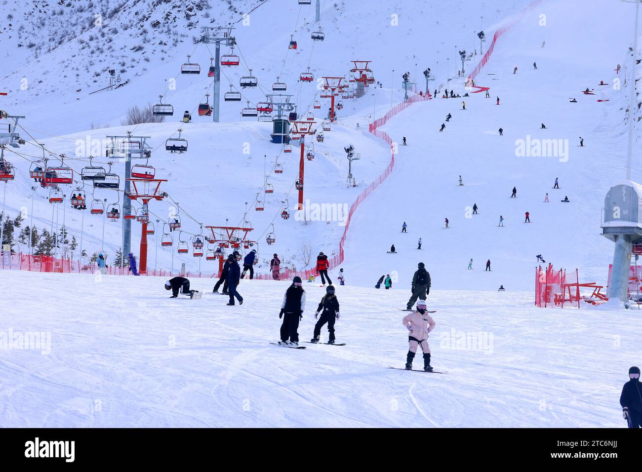 Altay, China. 11th Dec, 2023. ALTAY, CHINA - DECEMBER 11, 2023 - Skiers ...