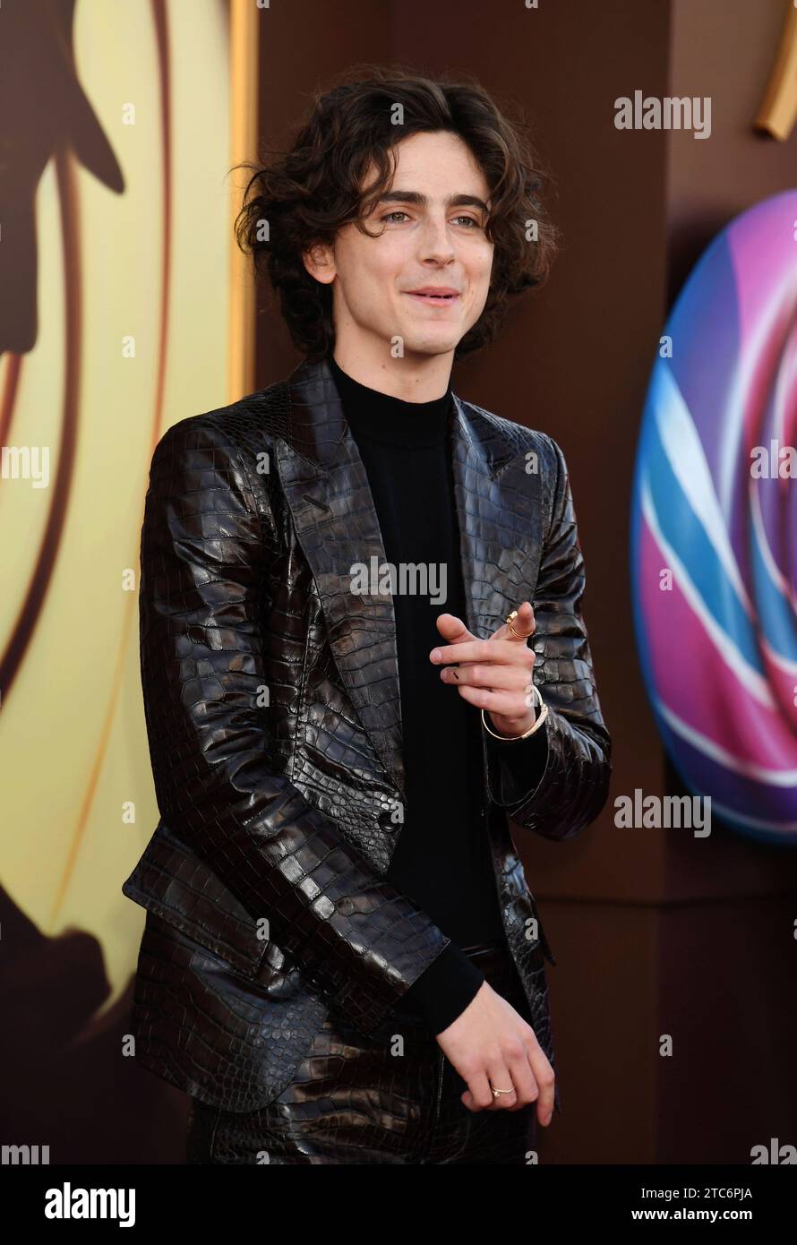 LOS ANGELES, CALIFORNIA - DECEMBER 10: Timothée Chalamet attends the ...
