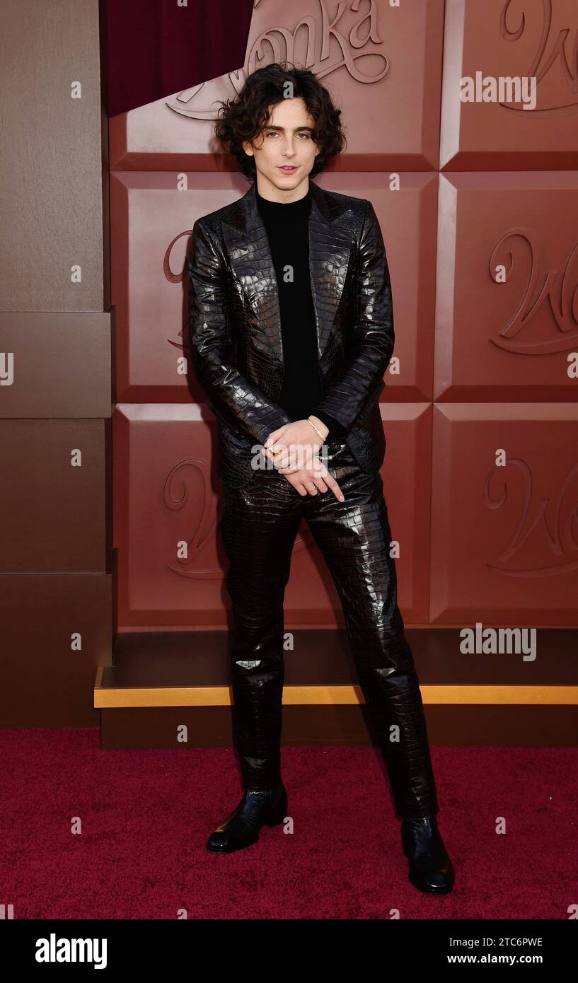 LOS ANGELES, CALIFORNIA - DECEMBER 10: Timothée Chalamet attends the ...