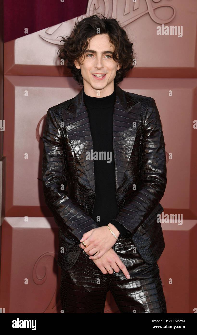 LOS ANGELES, CALIFORNIA - DECEMBER 10: Timothée Chalamet attends the ...