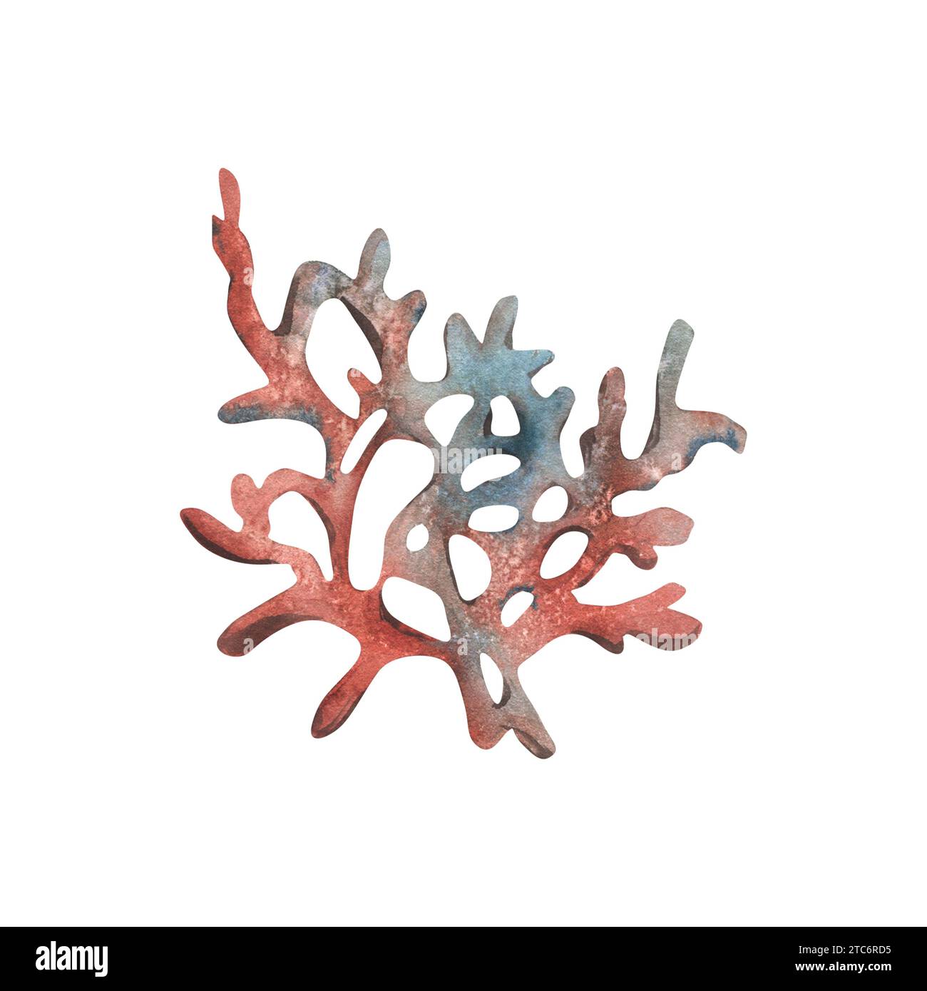 Coral branch in turquoise, blue and coral colors. Hand drawn watercolor ...
