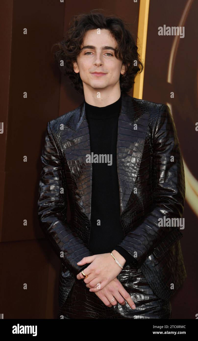 LOS ANGELES, CALIFORNIA - DECEMBER 10: Timothée Chalamet attends the ...