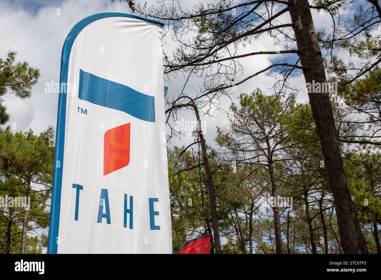 Bordeaux , France - 11 20 2023 : TAHE logo brand and text sign BIC ...