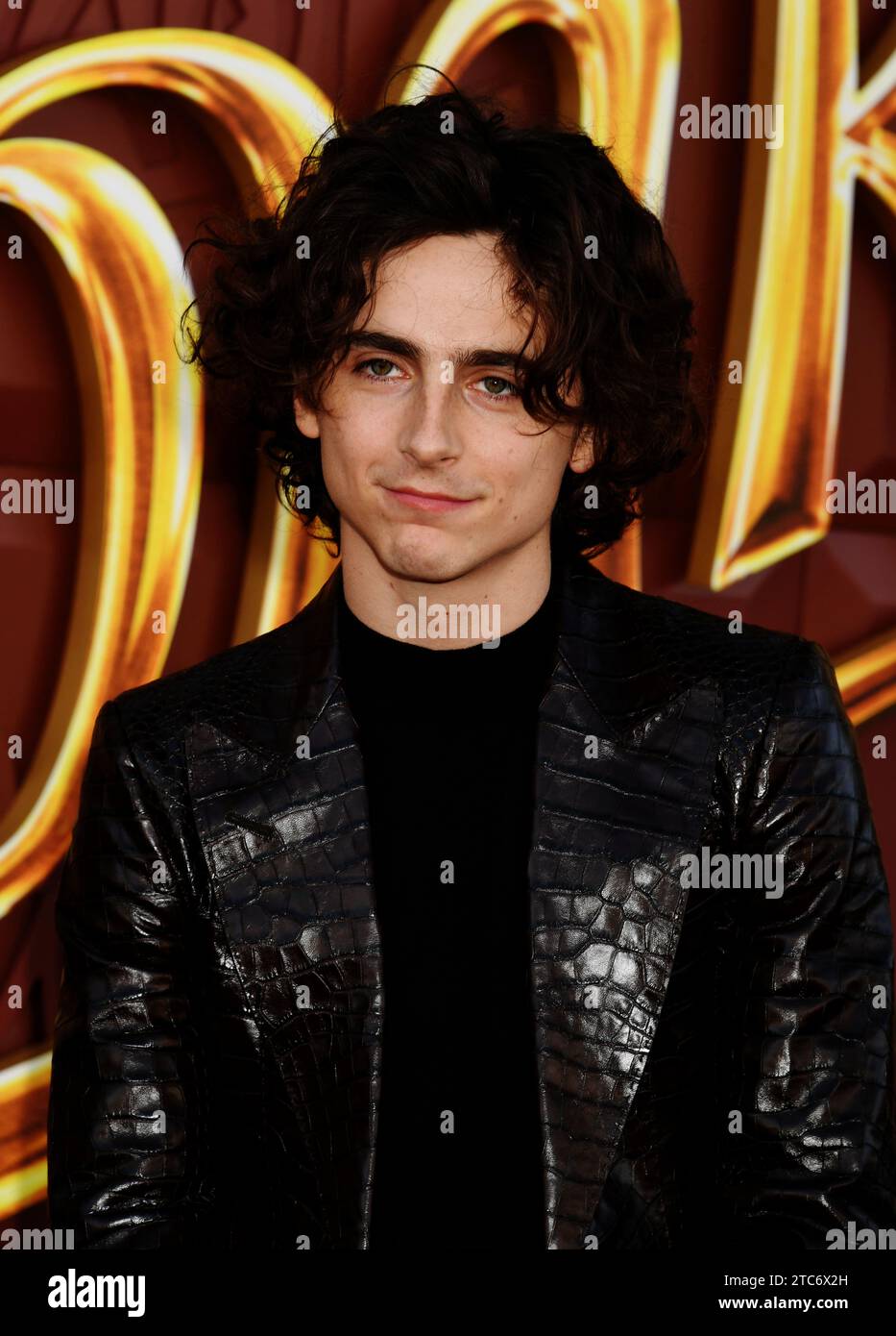 Los Angeles, California, USA. 10th Dec, 2023. Timothée Chalamet attends ...