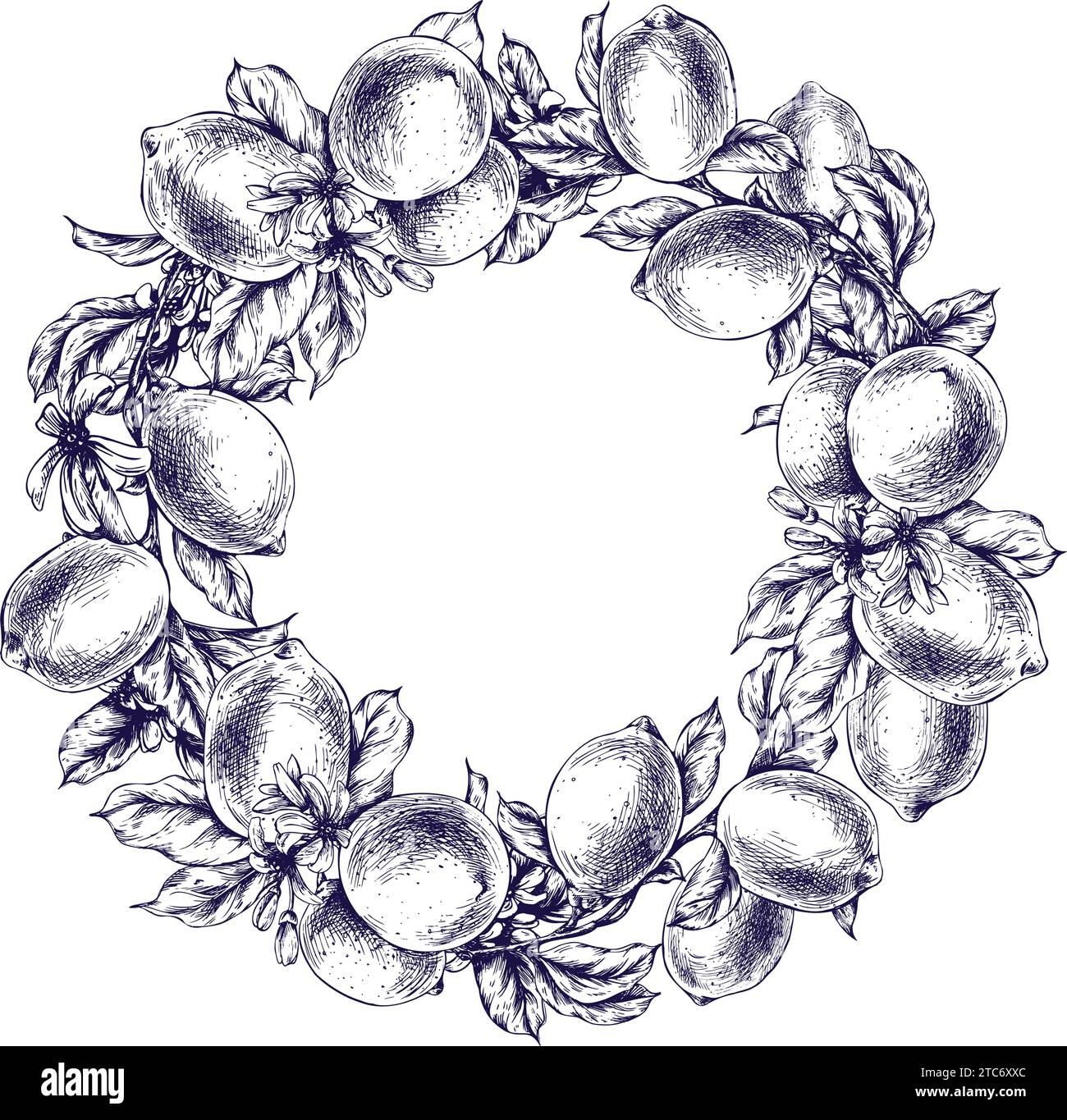 Lemons juicy, ripe with leaves, flower buds on the branches, whole and ...