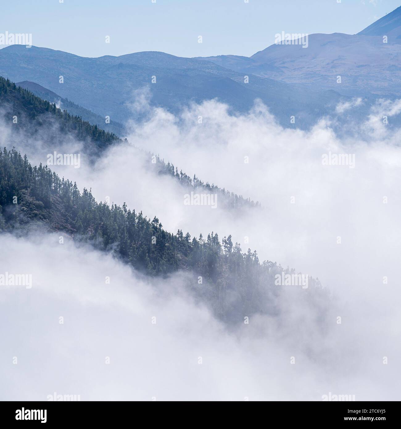 Cloud inversion on the slopes of Mount Teide, Tenerife, Spain, which ...