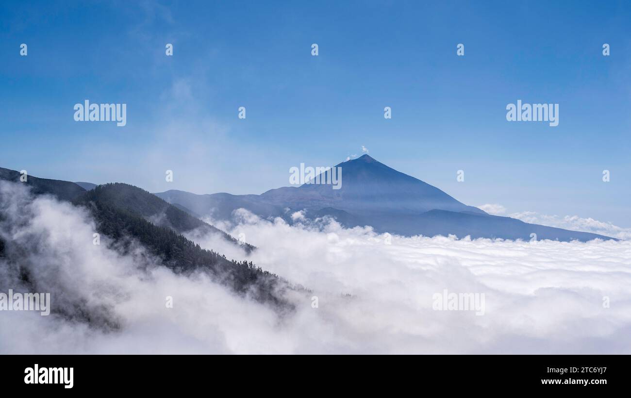 Pine slopes hi-res stock photography and images - Alamy