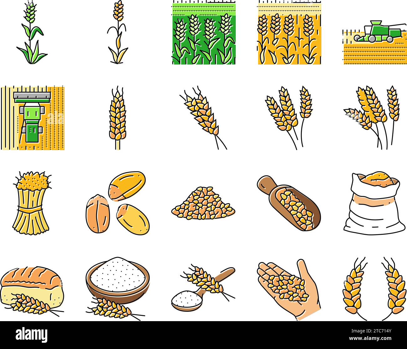 wheat grain bread harvest icons set vector Stock Vector Image & Art - Alamy